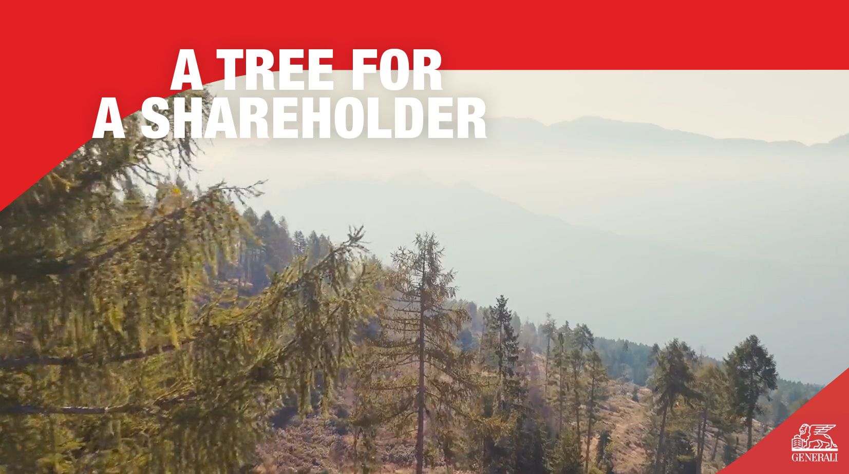 A tree for a Shareholder - Generali Group