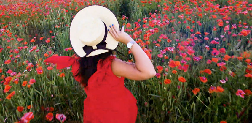 Strategic Plan: Lifetime Partner 24 - Generali Group